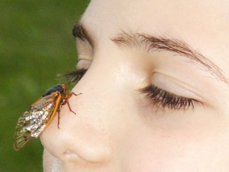 July Flies and June Bugs | Ravings of a Mad Southerner