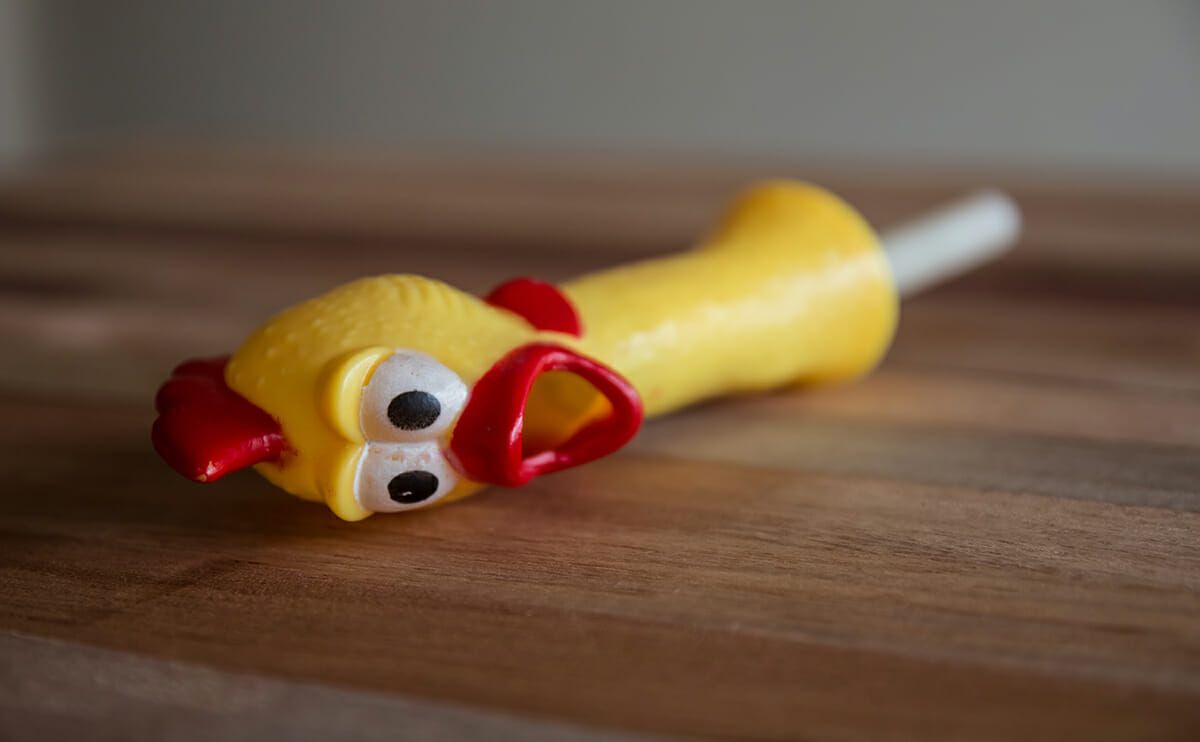 Smells Like Chicken | Ravings of a Mad Southerner